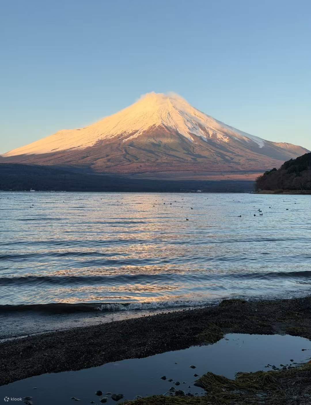 [Mount Fuji Instagram-Worthy Day Trip] Small Group Tour/Photogenic ...